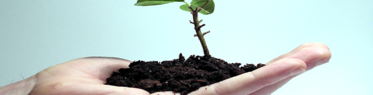 Piloter et communiquer le projet RSE de ma PME | Le Campus by CCI Deux ...